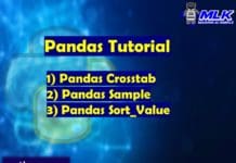 YOLOv4 Object Detection Tutorial with Image and Video : A Beginners Guide - MLK - Machine ...