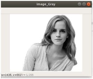 OpenCV Tutorial - Image Colorspace Conversion using cv2.cvtColor ...