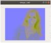 OpenCV Tutorial - Image Colorspace Conversion using cv2.cvtColor ...