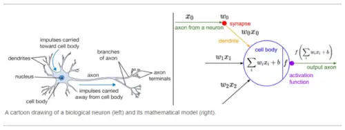 PyTorch Activation Functions - ReLU, Leaky ReLU, Sigmoid, Tanh and ...