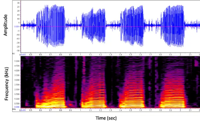 Create Ai Voice Assistant With Speech Recognition Python Project