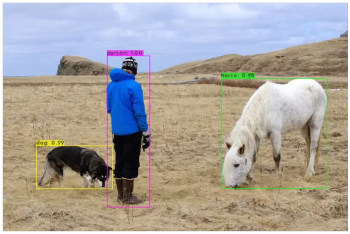 YOLOv4 Object Detection Tutorial with Image and Video : A Beginners Guide - MLK - Machine ...