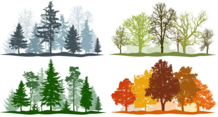 Random Forest Classifier in Python Sklearn with Example - MLK - Machine Learning Knowledge