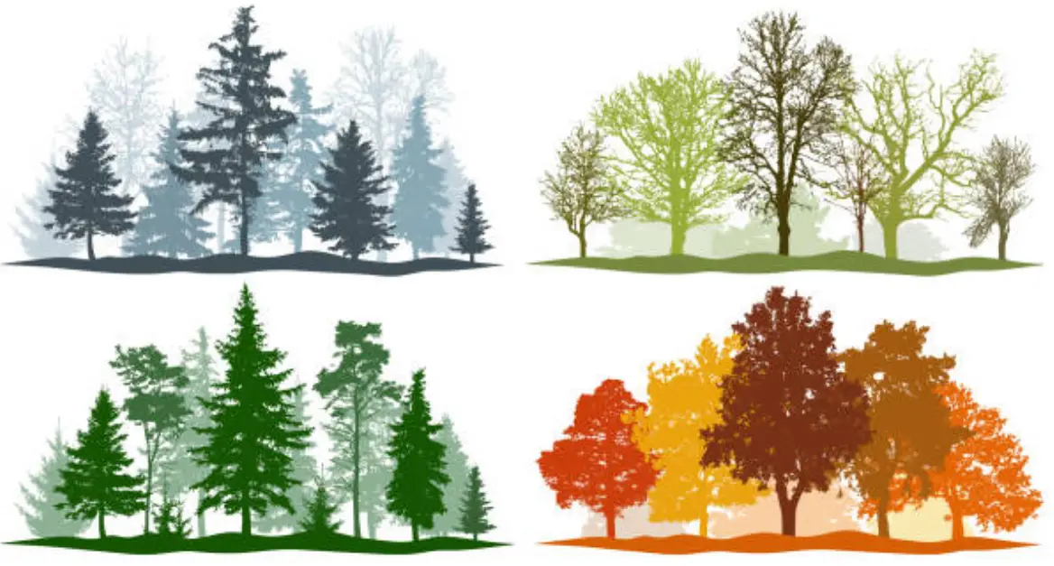 Random Forest Classifier in Python Sklearn with Example - MLK - Machine ...