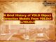 A Brief History of YOLO Object Detection Models From YOLOv1 to YOLOv5 ...