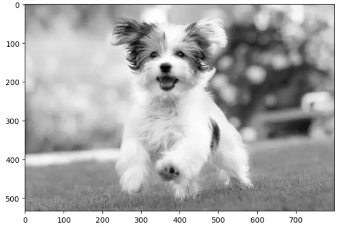 8 Ways To Convert Image To Grayscale In Python Using Skimage Pillow Opencv Numpy Matplotlib