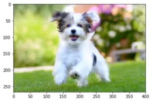 How to Scale and Resize Image in Python with OpenCV cv2.resize() - MLK - Machine Learning Knowledge