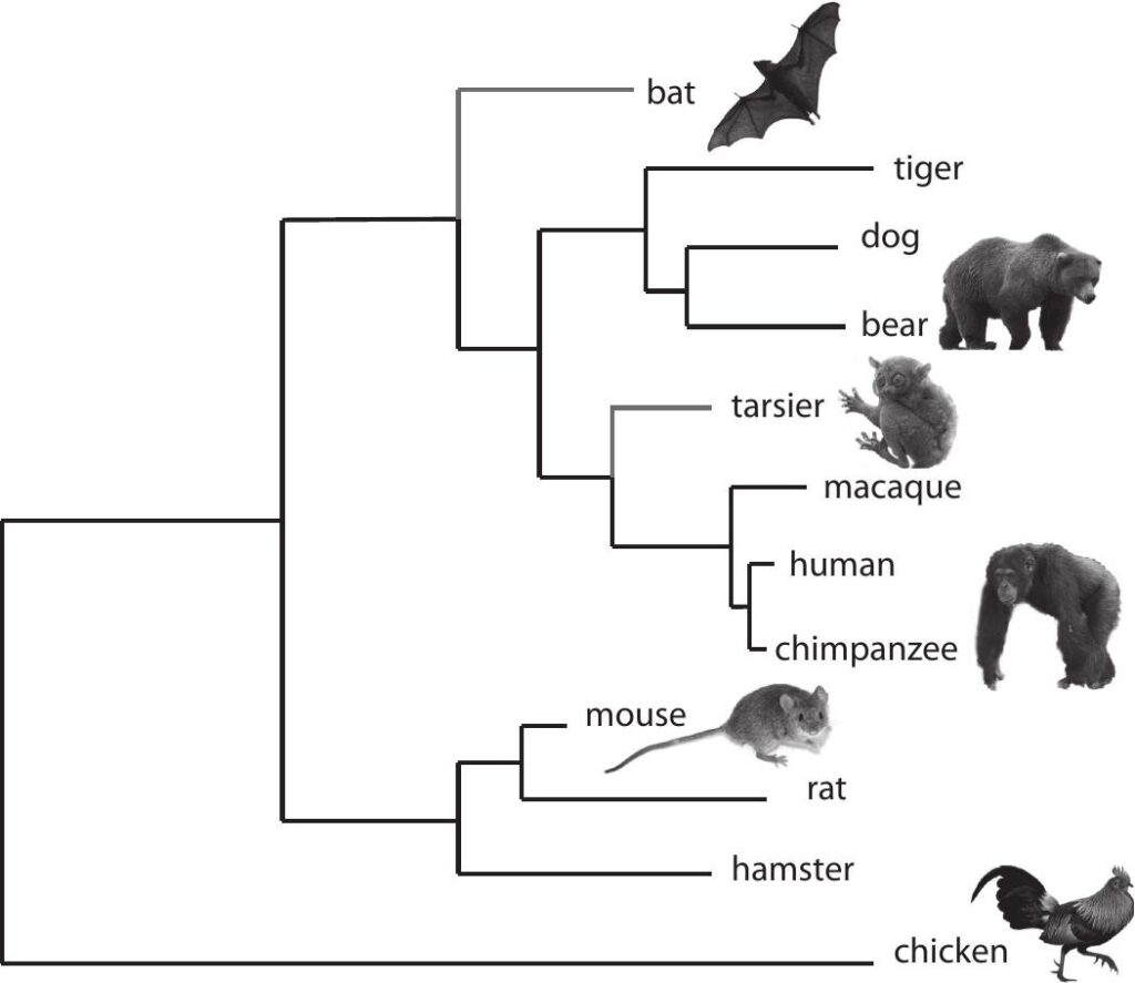 Agglomerative Hierarchical Clustering in Python Sklearn & Scipy - MLK ... Agglomerative Hierarchical Clustering in Python Sklearn & Scipy - MLK ...