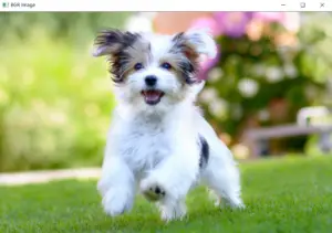 Split and Merge Image Color Space Channels in OpenCV and NumPy - MLK ...