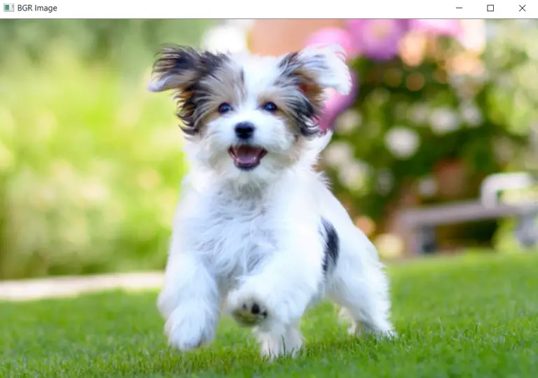 Split and Merge Image Color Space Channels in OpenCV and NumPy - MLK ...