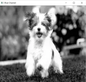 Split and Merge Image Color Space Channels in OpenCV and NumPy - MLK ...