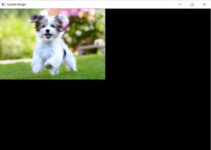 Affine Transformation in OpenCV with cv2.warpAffine() - MLK - Machine Learning Knowledge