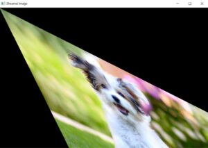 Affine Transformation in OpenCV with cv2.warpAffine() - MLK - Machine ...